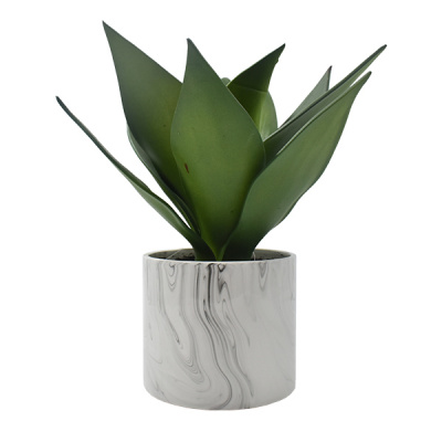 Balance and Bliss: Feng Shui Tips for Every Room